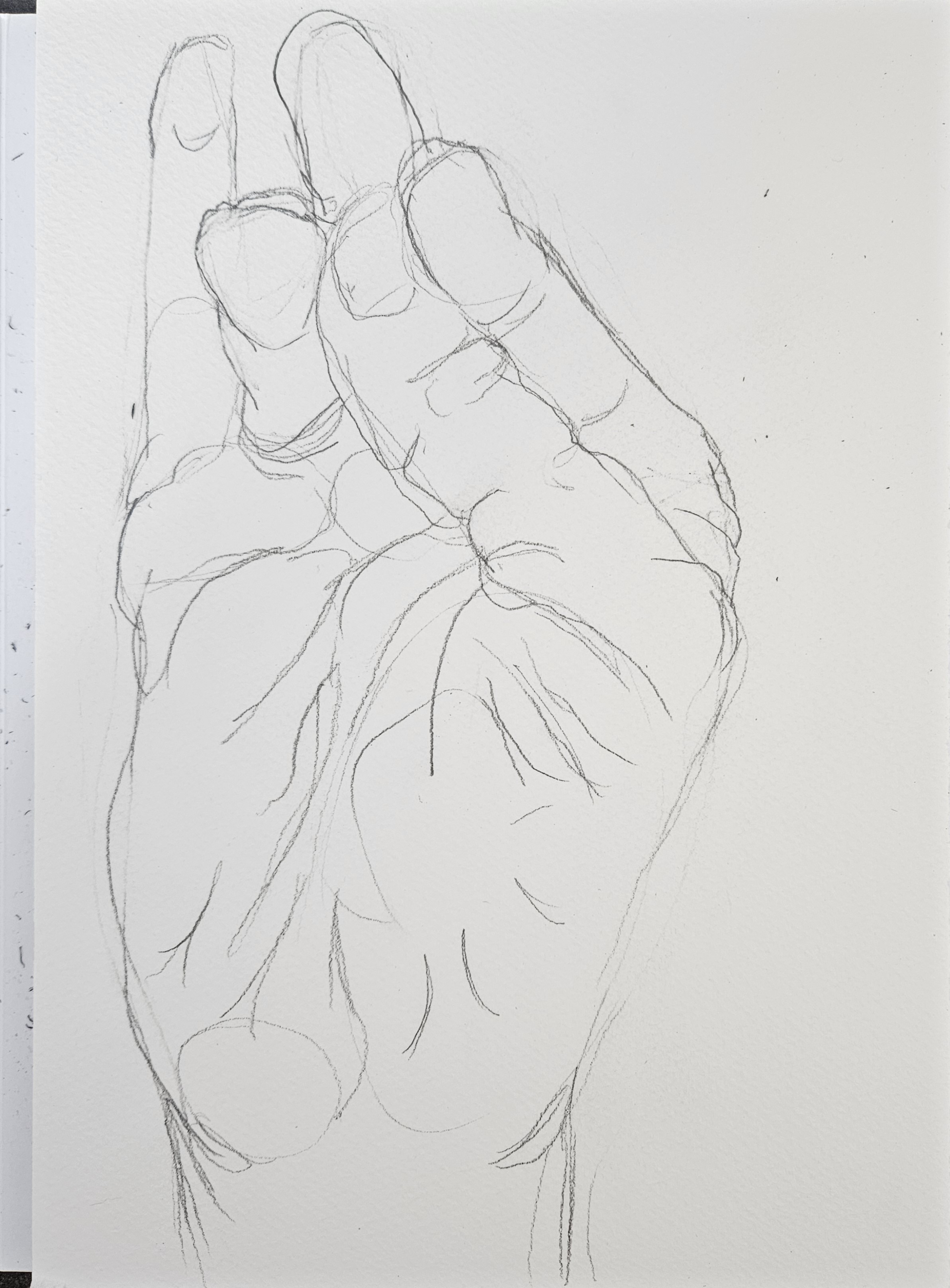 Paper Life Painting – Visual works of Wayne Wolfson